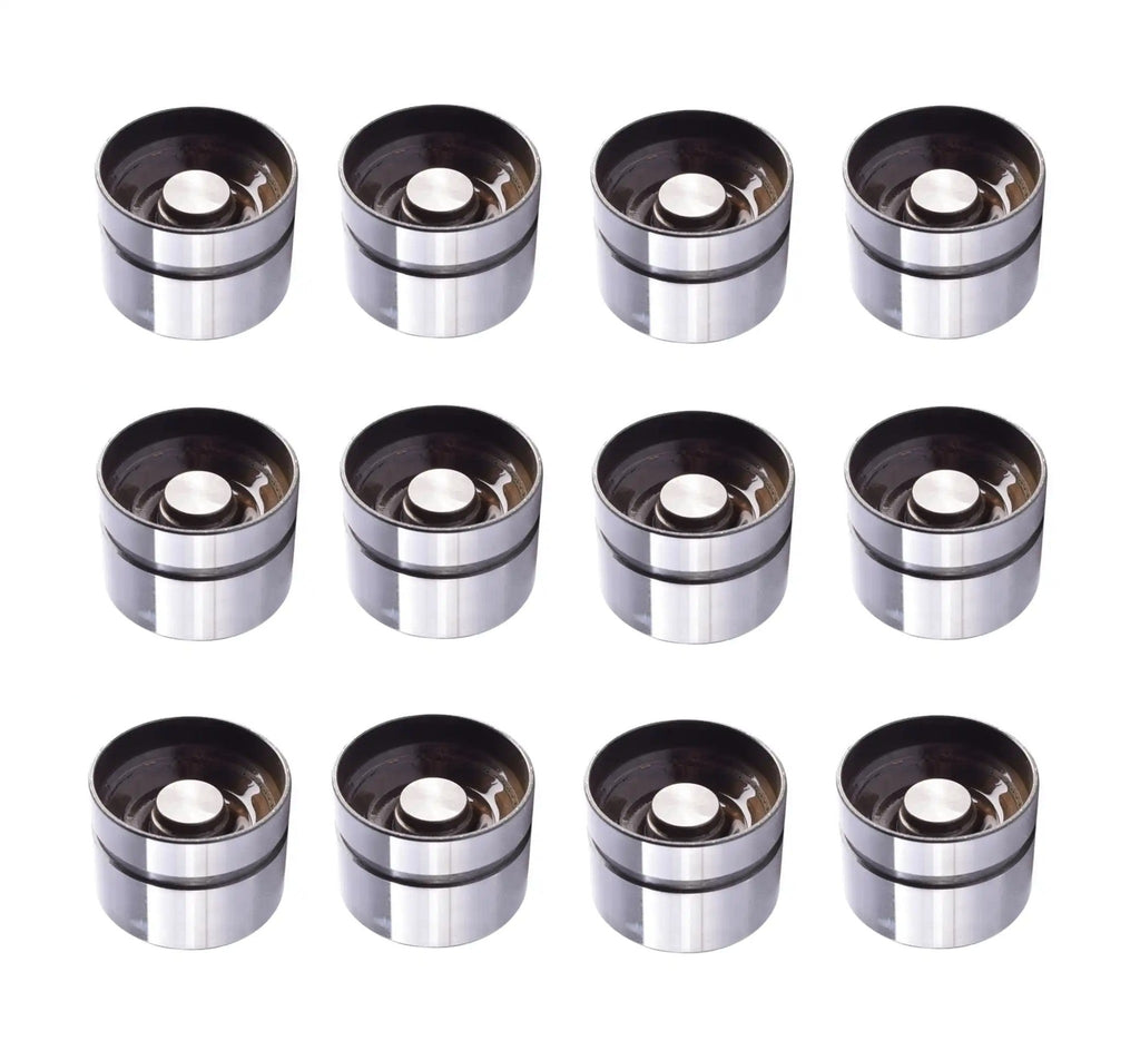12 x Hydraulic Valve Lifters HLAs for Nissan Patrol 1988 - 1997 2.8 RD ...